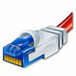 Dual 100FT Cat5e Plenum Runs - VoIP Supply